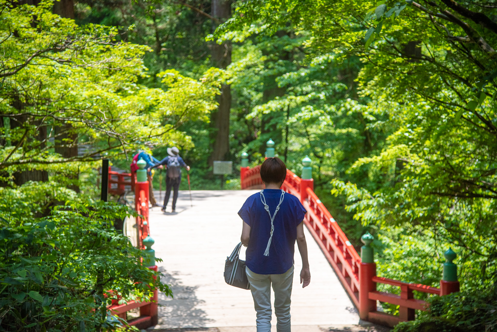 The Dewa Sanzan sacred mountains have been chosen by The Independent as ...